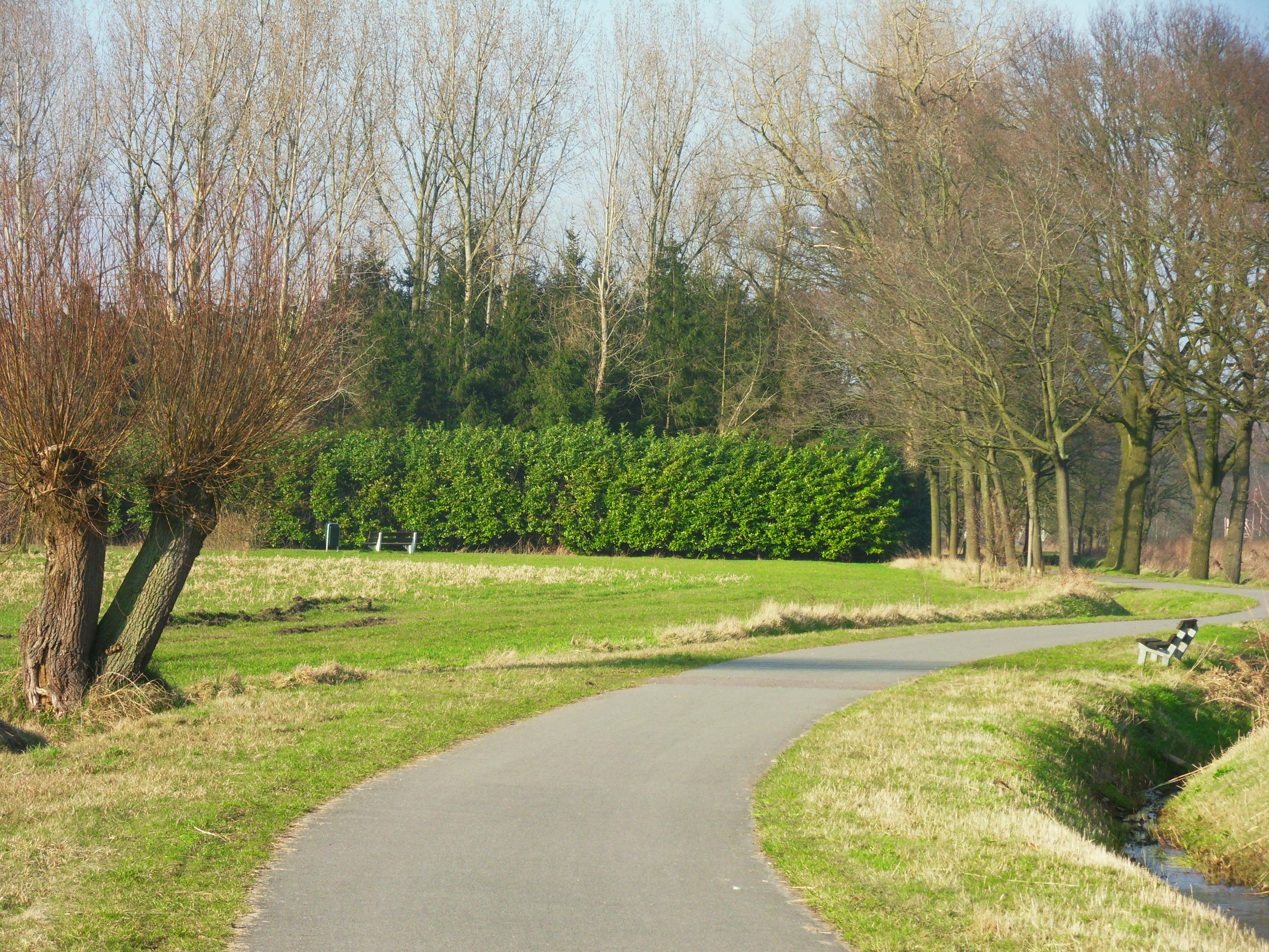 Vroege vogels Foto - Weer en landschap - fietspad midden in de natuur