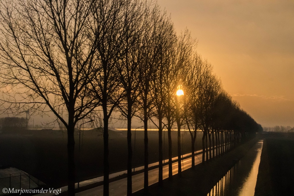 Vroege vogels Foto - Weer en landschap - In de rij